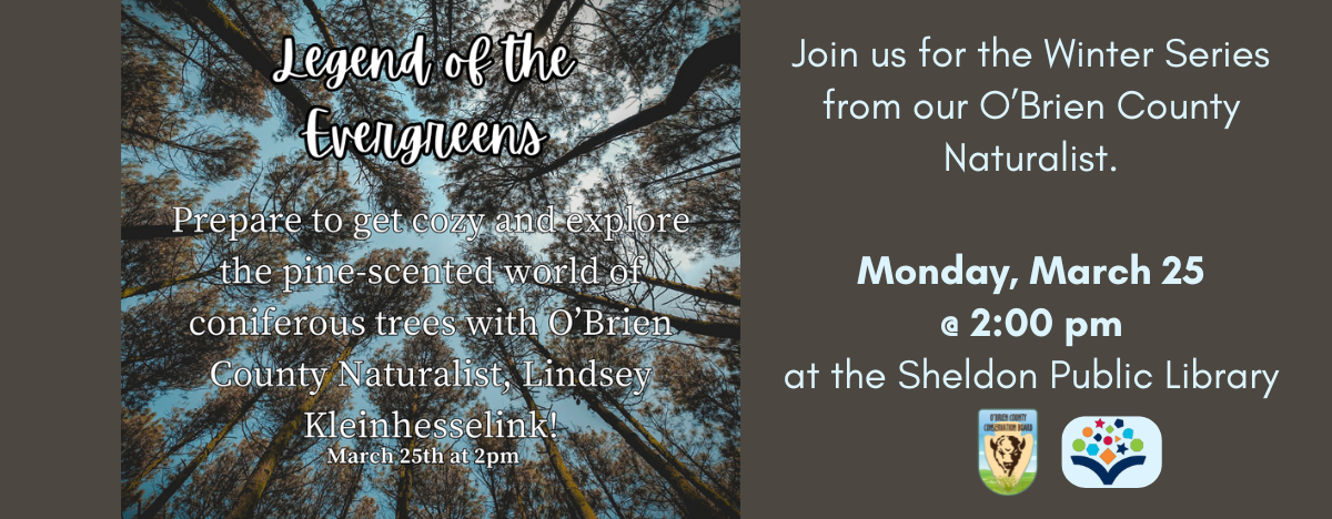 Sheldon Public Library :: Sheldon Public Library